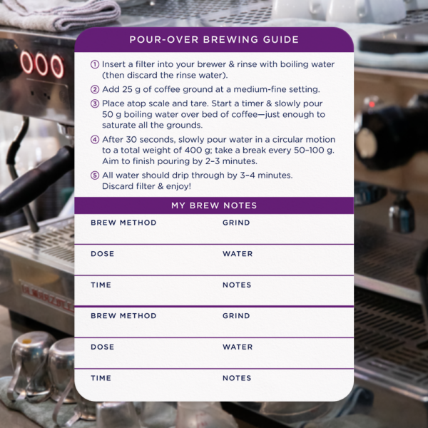 Drupe (Filter & Espresso Blend) - Blueprint Coffee
