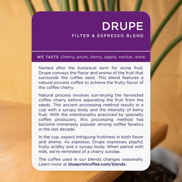 Drupe (Filter & Espresso Blend) - Blueprint Coffee