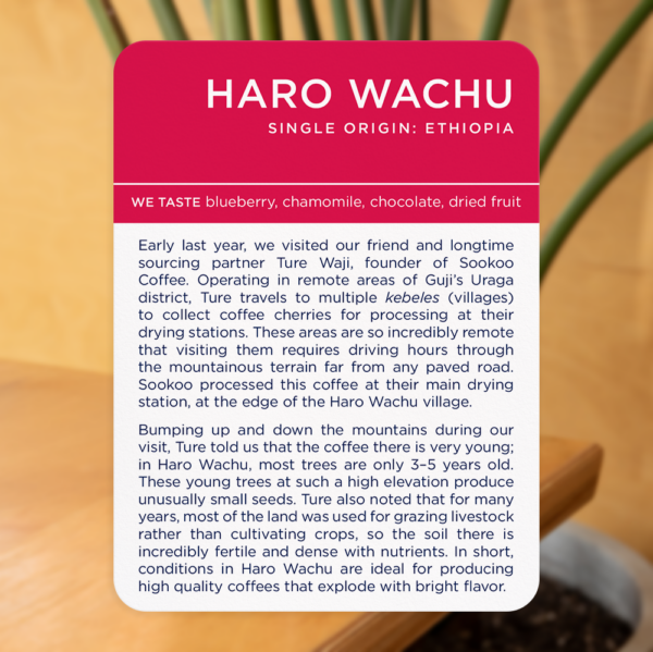 Haro Wachu, Ethiopia - Blueprint Coffee
